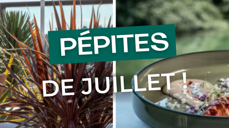 Nos restaurant pépites du mois de juillet | TheFork blog