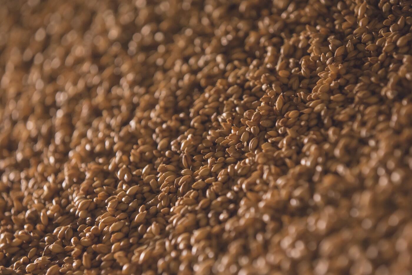 Focus sur la bière stout | TheFork blog